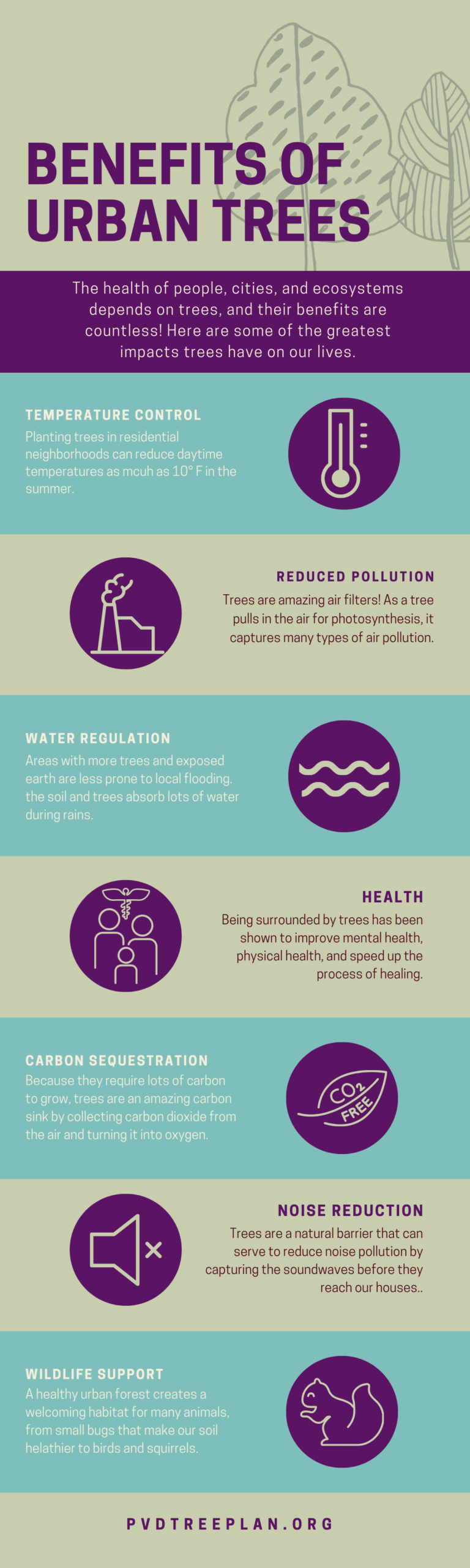 Tree Benefits | PVD Tree Plan