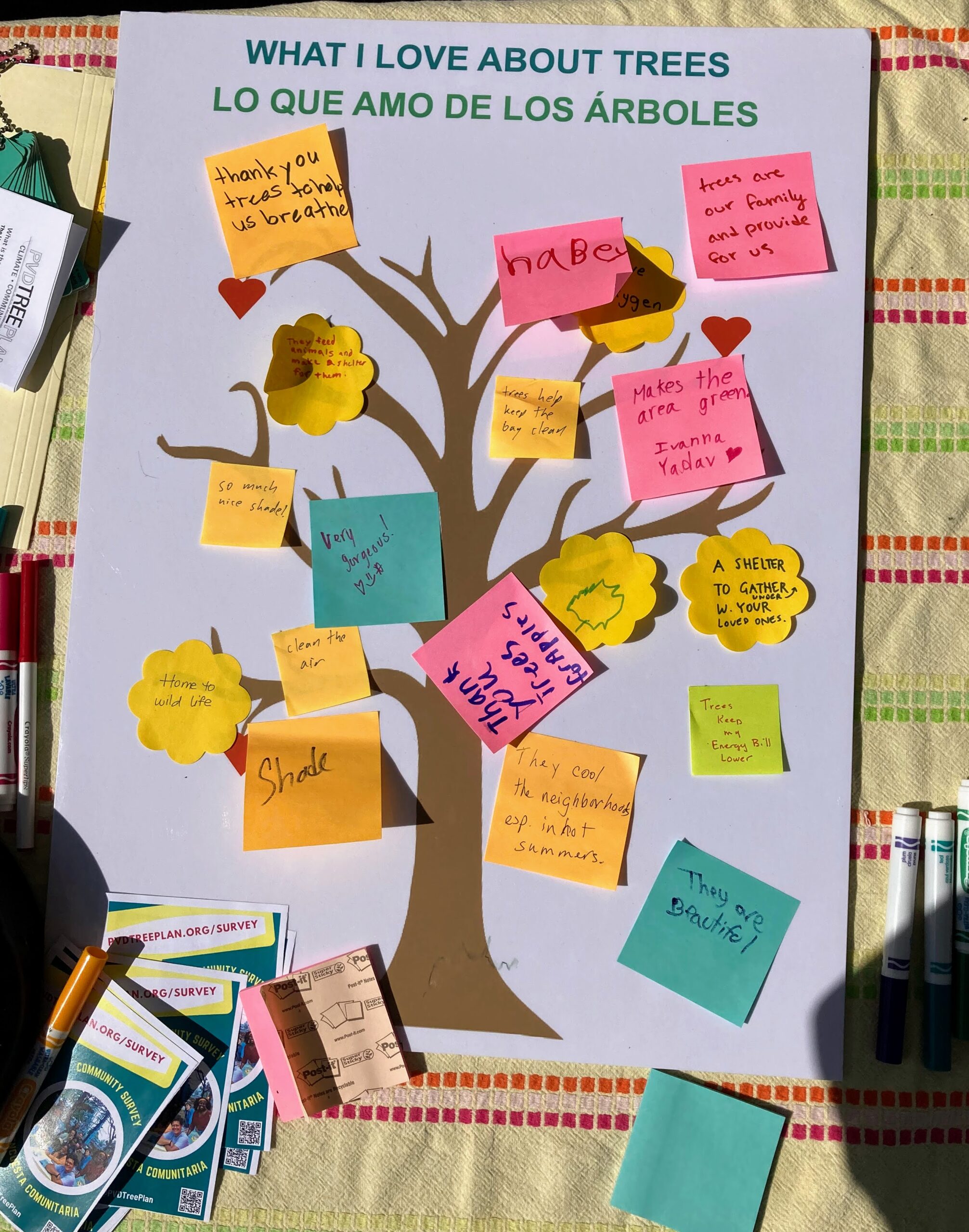 Meet The Pvd Tree Plan Pvd Tree Plan